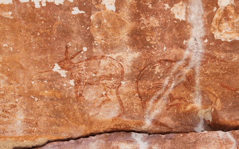 ANTHROPOLOGY | Stunning ancient Australian rock art shows local images ...