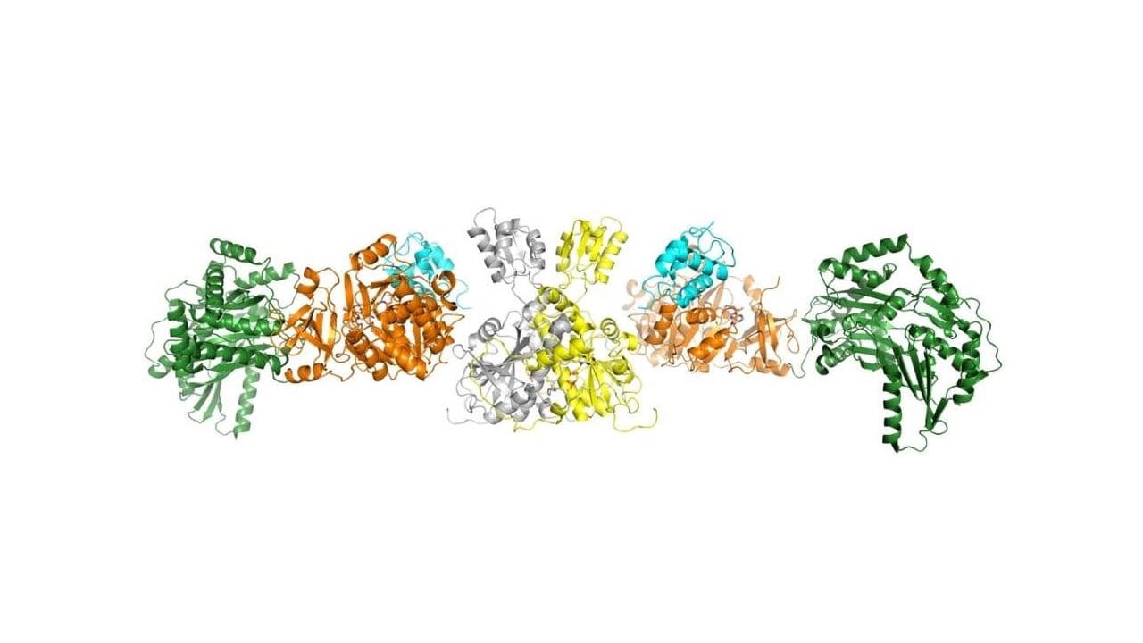 MED-TECH | Tiny machines in bacteria could help make new medicines
